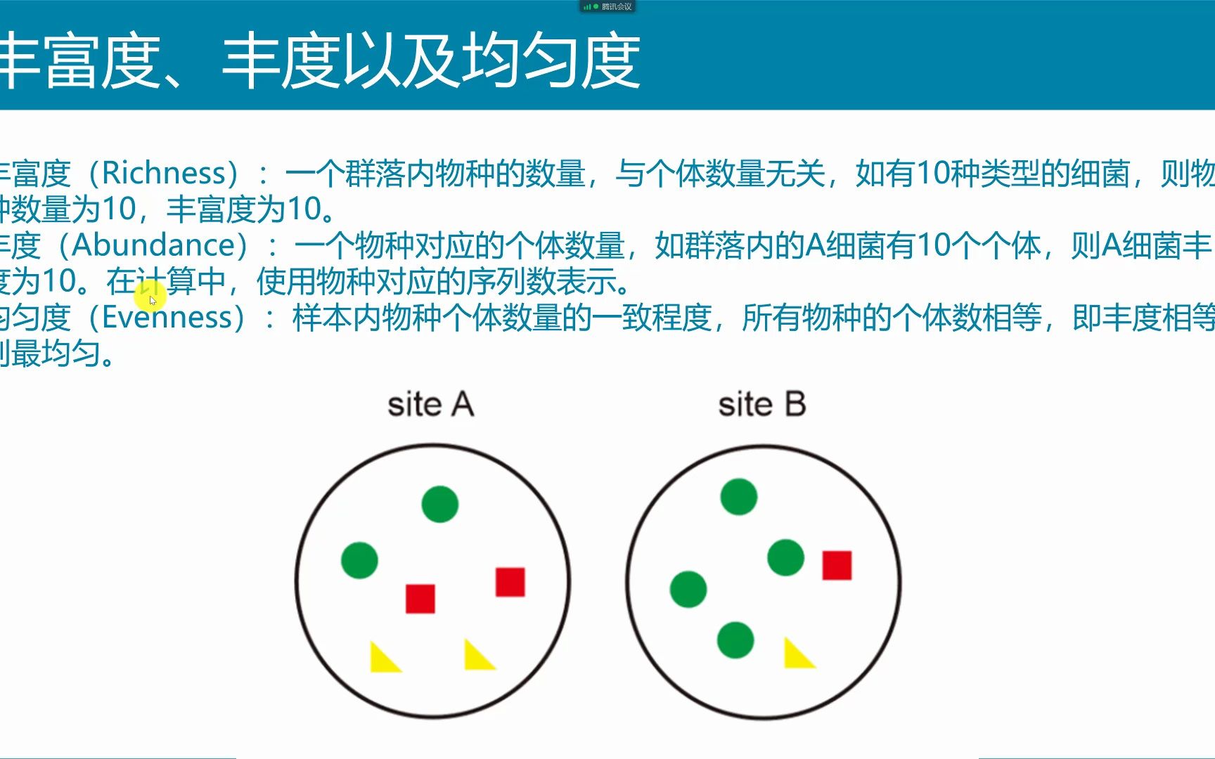 98-宏基因组:alpha和beta多样性