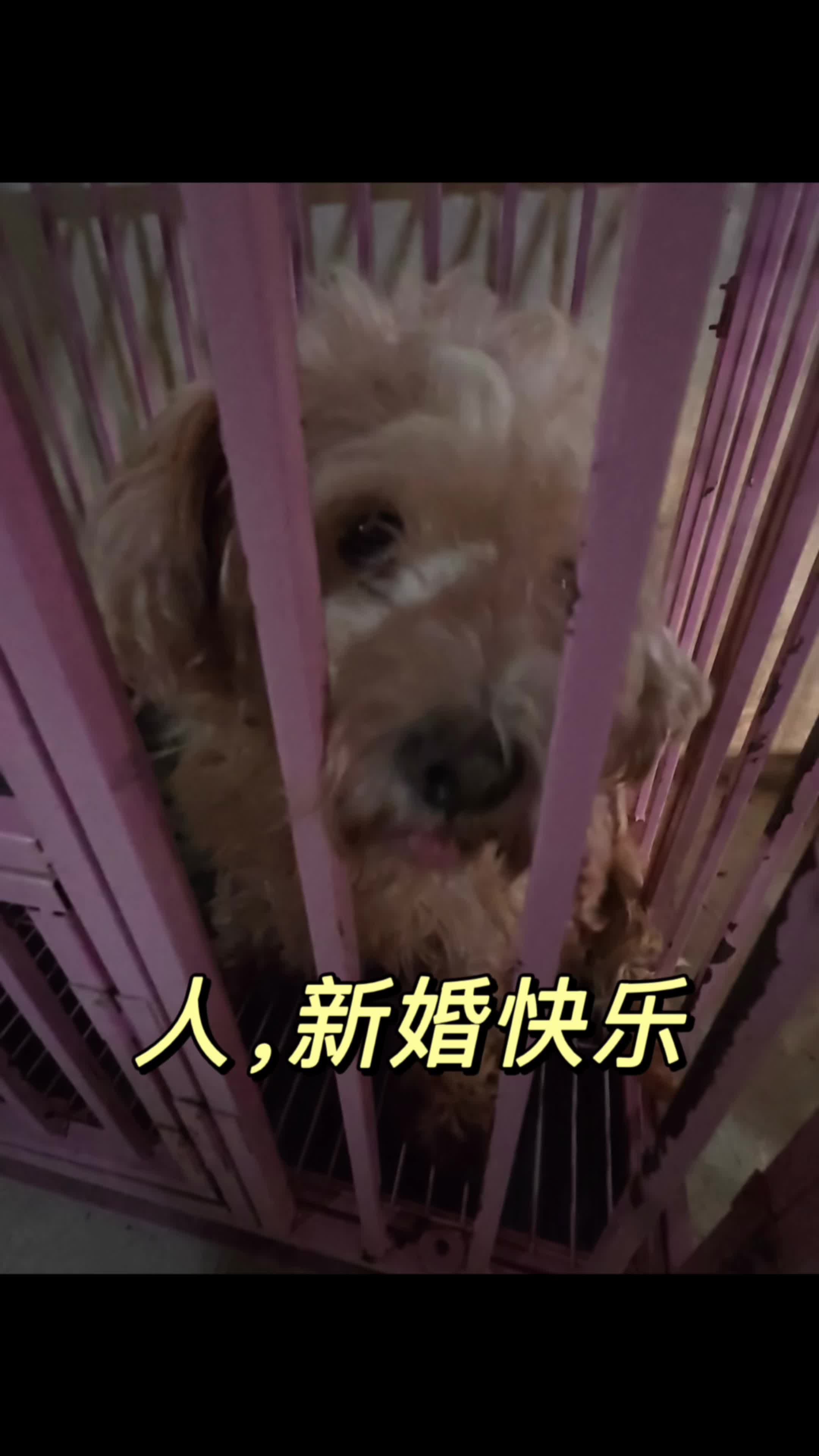 ...但这份因爱而生的温暖与善意,却不会就此停歇,它将化作一份份口粮,...