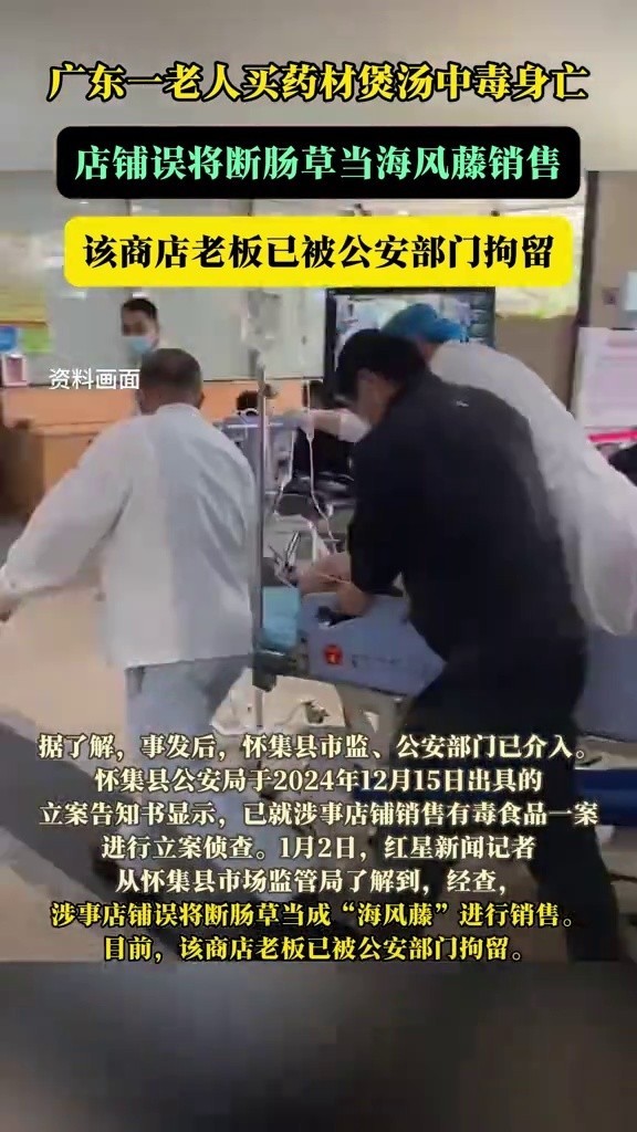 广东一老人买药材煲汤中毒身亡,店铺误将断肠草当海风藤销售,该商店...
