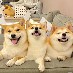 蓝冰睡醒了 
