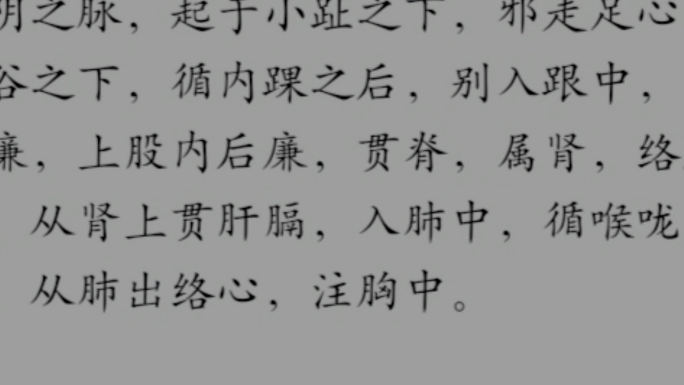 足少阴肾经循行(自用)