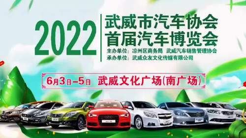武威商务局汽车管理这会端午节博览会车展全品牌新车销售车展现场