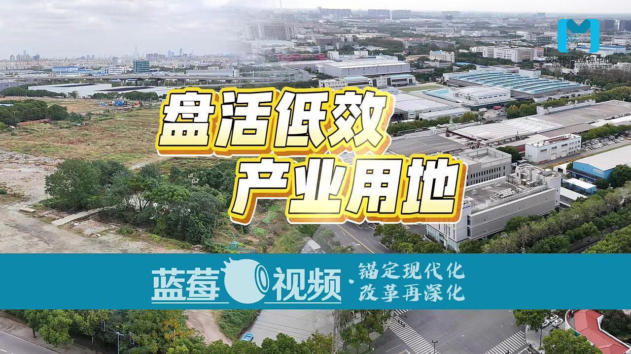 锚定现代化改革再深化:#上海闵行#莘庄工业区盘活低效产业用地,为高...