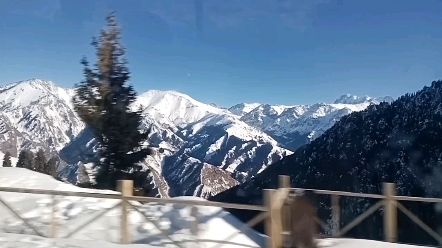 雪原 林海 沙漠 大海