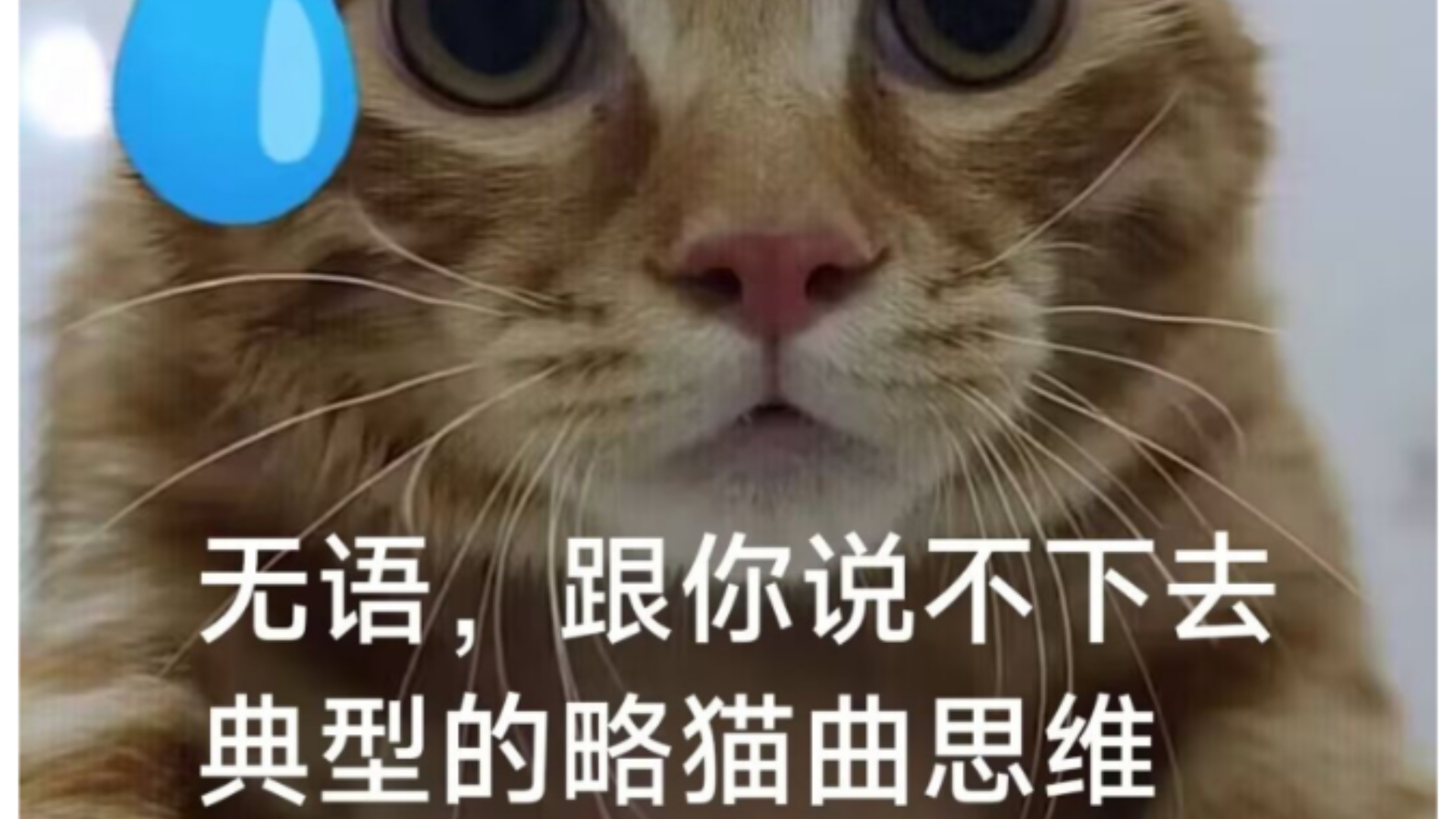 [中二节奏2024]招财tv之蠢帽被猫反七数据线吓似结算画面被...