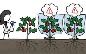 【分钟地球】植物的隐秘社交生活 @靛蓝字幕组