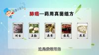 中国中医科学院研究员 张文彭谈药用真菌组合治肺癌