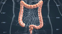 大肠的结构 大肠是我们消化道的最后一段 科普小知识