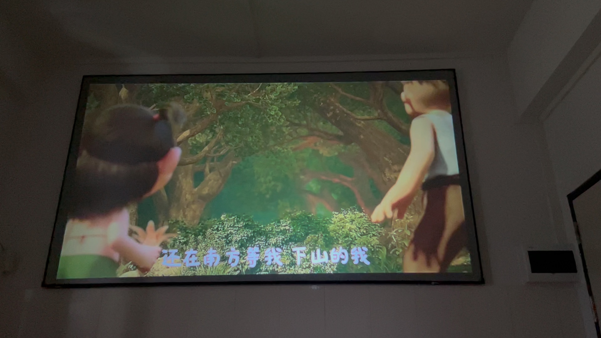 先科DLP500E夜间效果,110寸幕布出租房空间有限所以有黑边