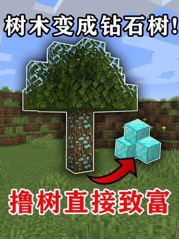 如果我的世界的树木变成了钻石树这要怎么生存呢