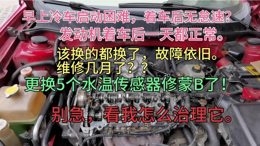 冷车启动困难着车后无怠速,着车后一天都正常,修了几个月的故障