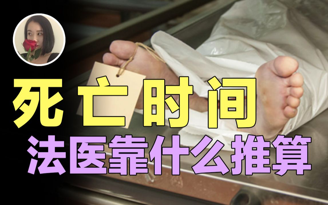 【沉默的真相】法医靠什么推断死者的死亡时间—尸斑/尸僵/昆虫活动