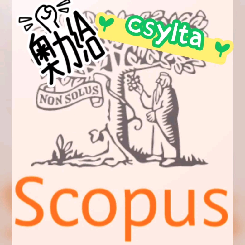 Scopus正确打开方式