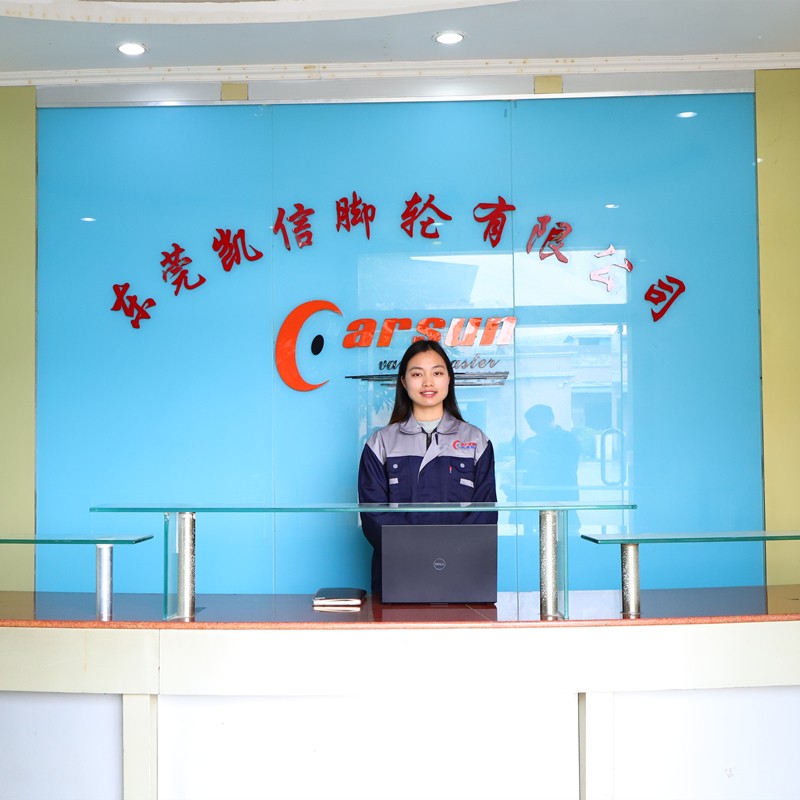 东莞凯信脚轮有限公司 