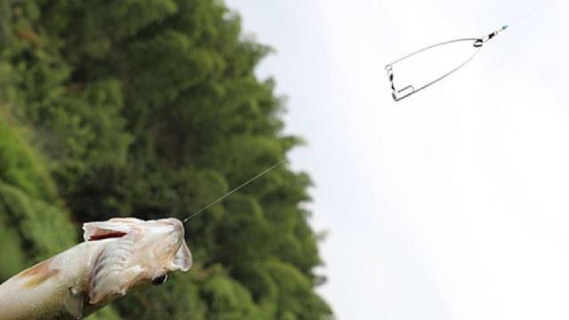 牛人发明自动钓鱼器,闭着眼都能上鱼,大鱼跑不掉