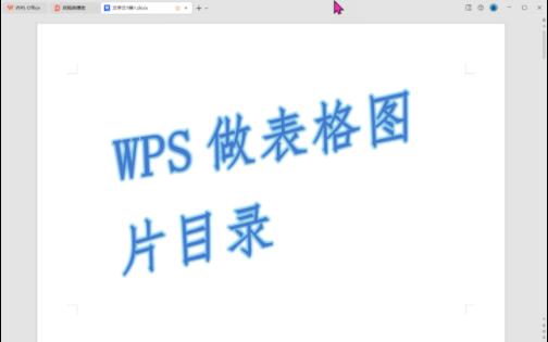 WPS做表格图片的目录