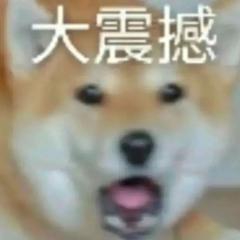 你就是个臭粑粑 