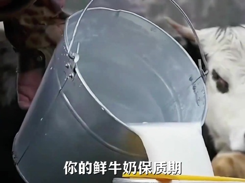 关于牛奶衍生品的那些事