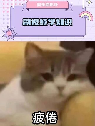 刷视频涨知识 #抖音精选 #抖音细糠版