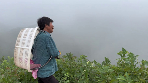 60多岁老汉山里养蚕40多年,自己摸索经验,练了一身好技术