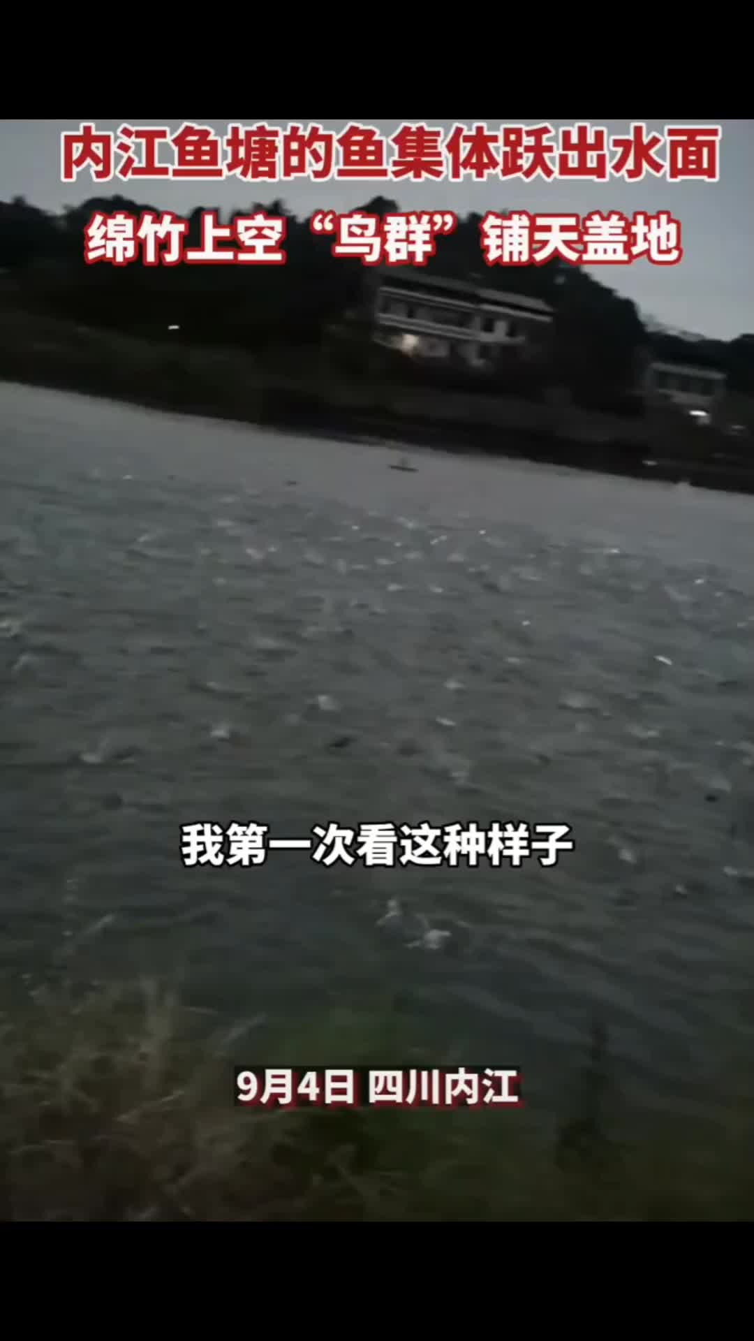 那个砖家出来解释一下… #内江#绵竹#泸定地震 #地震 #四川甘孜州...