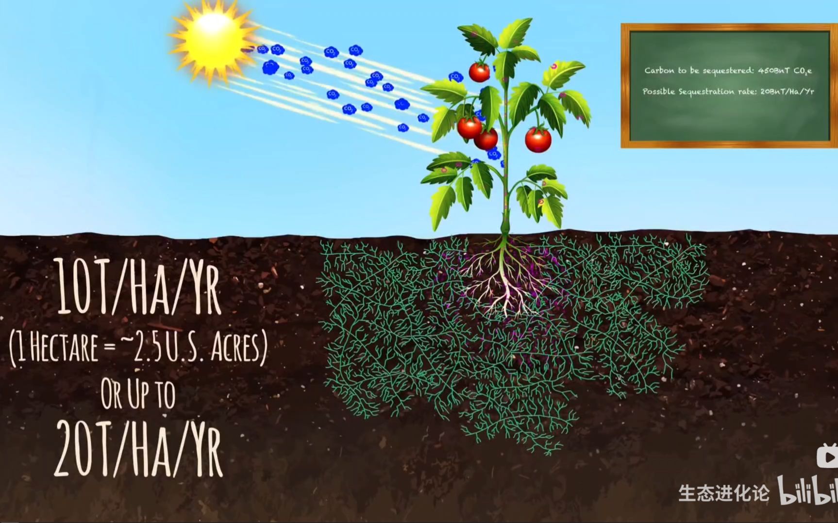 【碳中和】原理及应用—如何计算?