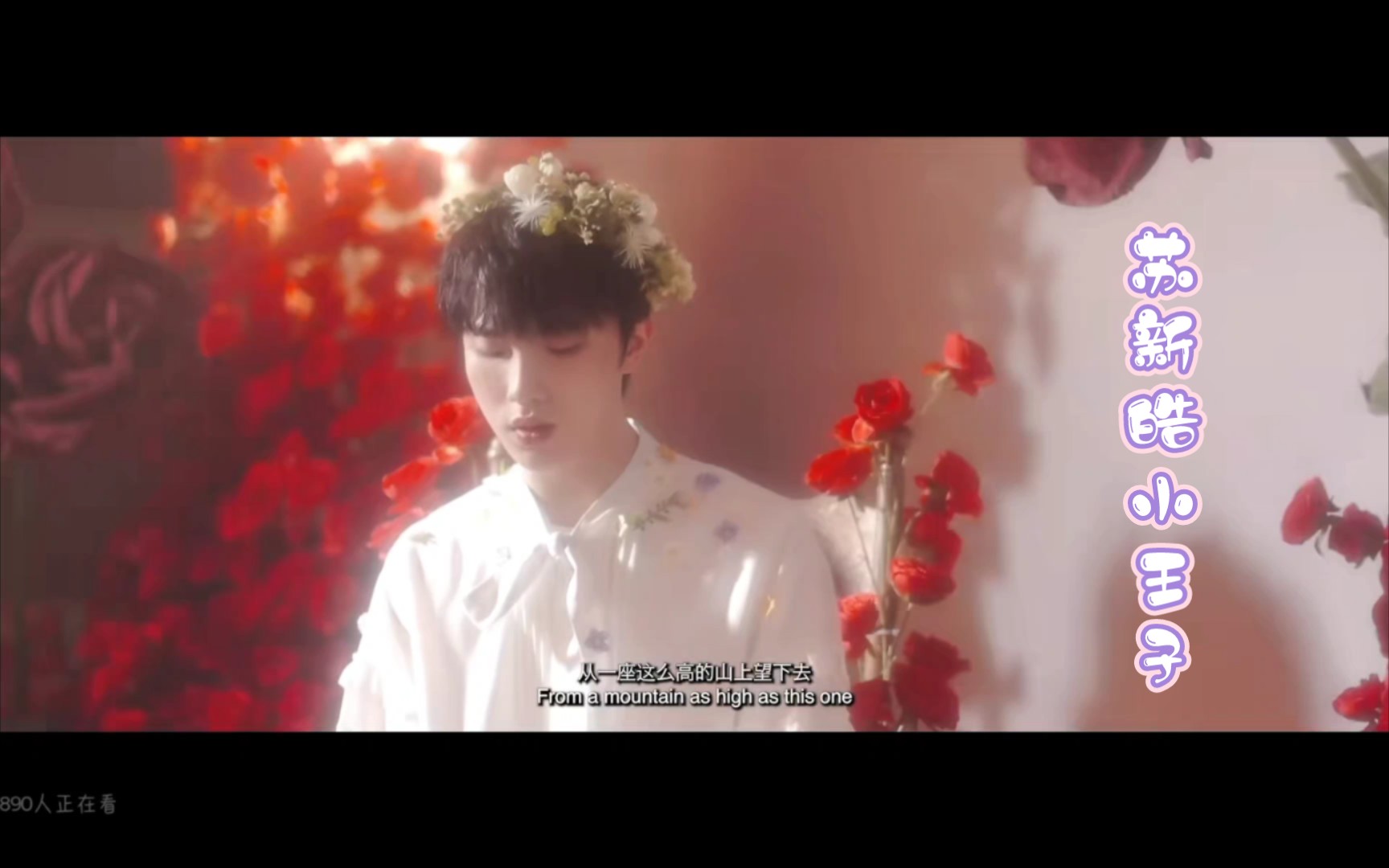 TF家族《登录计划》演唱会——蝴蝶效应「小王子VCR」苏新皓