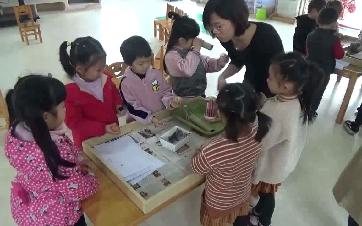 微课堂 中班科学《有趣的鸡蛋》 幼儿园中班科学领域活动