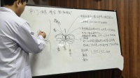 经络腧穴命门的局部解剖及刺法应用