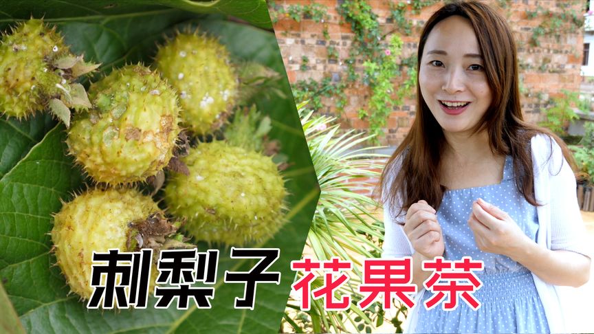 炎炎夏日,来一杯刺梨、薄荷、茉莉花果茶