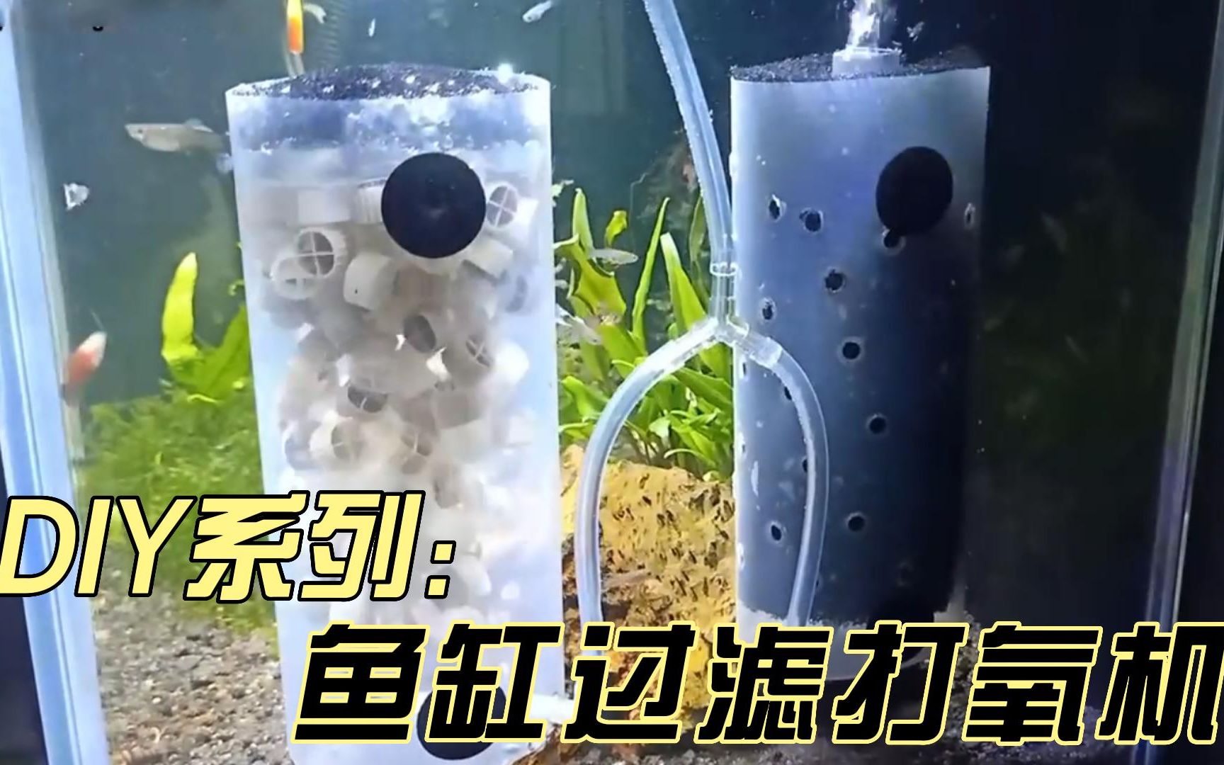 如何用塑料瓶制作鱼缸过滤器,过滤的同时还能给鱼缸不间断打氧