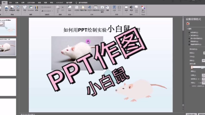 厉害了!用PPT画了一个实验室小白鼠模型,害怕老鼠的慎入!