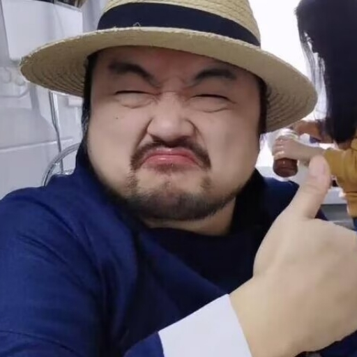 刘岩菲语 