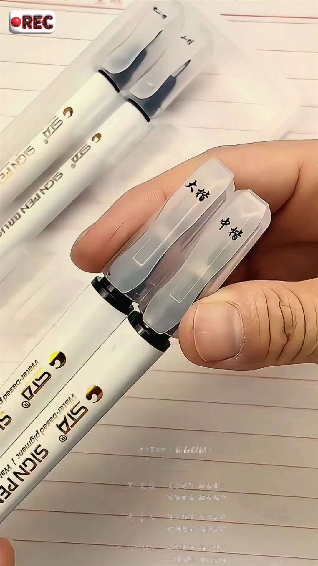 你们都在问的秀丽笔来了!#笔#好笔推荐#秀丽笔#练字#手写#行楷#...