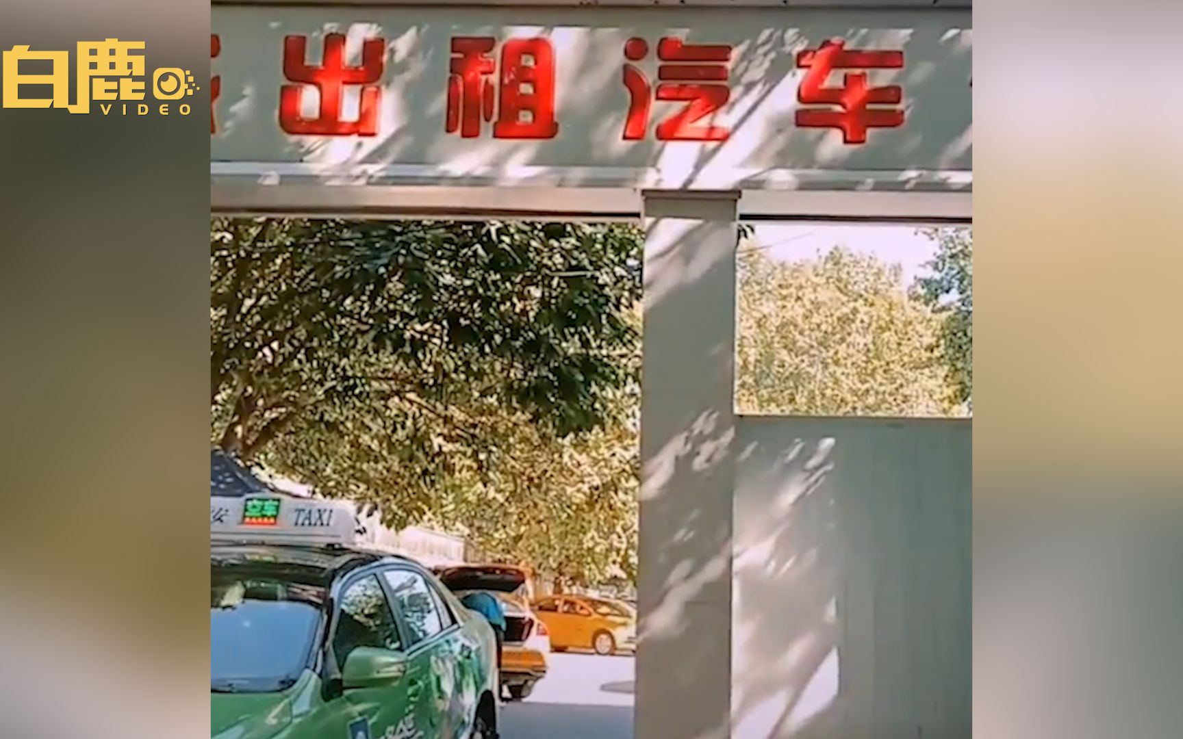 最新消息!西安减免3月份出租车承包与服务费