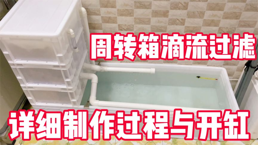 周转箱三层滴流详细制作过程,滤材的摆放及开缸,一看就能学会了