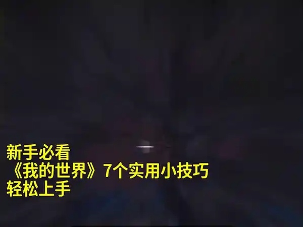 新手必看!《我的世界》7个实用小技巧,轻松上手!