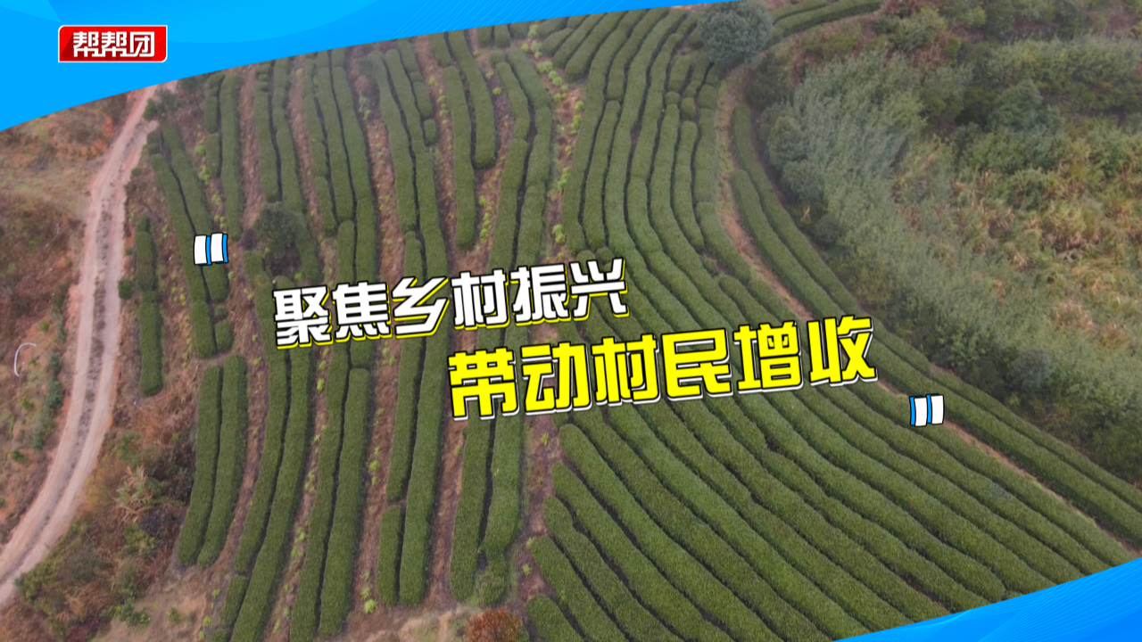 返乡创业青年打造茶旅“金钥匙”,为家乡传统茶产业注入新活力