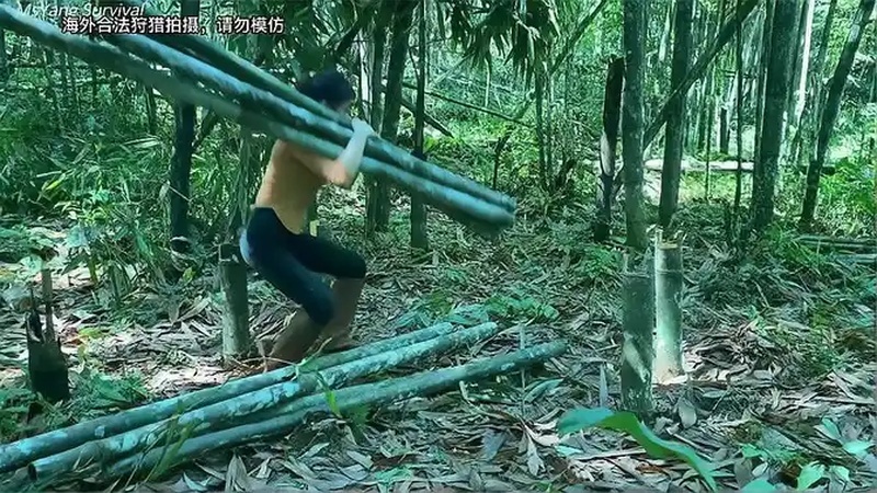 险独身丛林,杨薇薇单身女孩进入森林,在雨林中制庇护所寻找食物