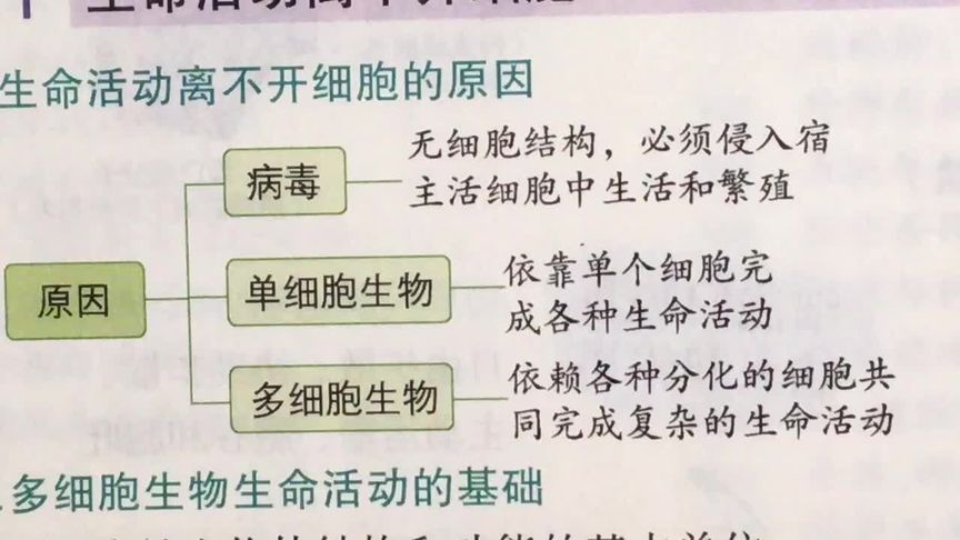 #细胞#生物 生命活动为什么离不开细胞