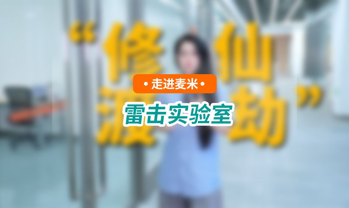 麦米电气雷击实验室