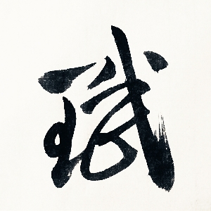 趙智珷書法 