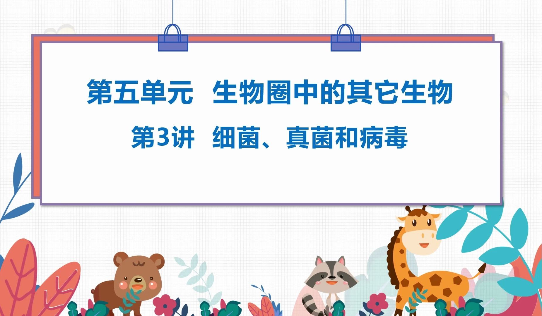 5.3 细菌、真菌和病毒 (生地会考总复习)