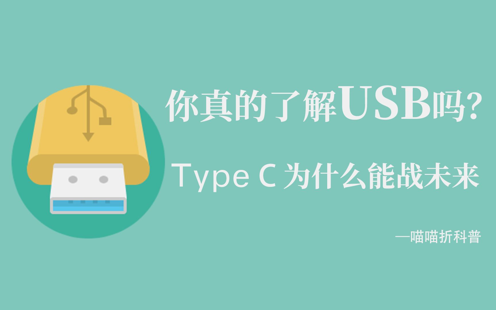 【喵喵折】你真的了解USB和雷电3吗?为什么说Type C能战未来?