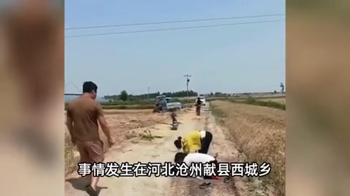 收割机碰到电线农机手触电,两女子跪地按压抢救,医院:没救过来