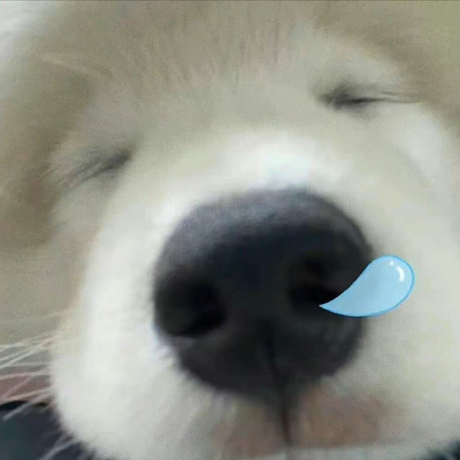 弓总耗-小皮蛋测手游 