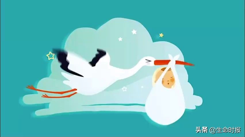 动画科普:让你大开眼界的动物生育方式