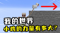 我的世界:小鸡的力量有多大?拉只铁傀儡不在话下,甚至还能移动