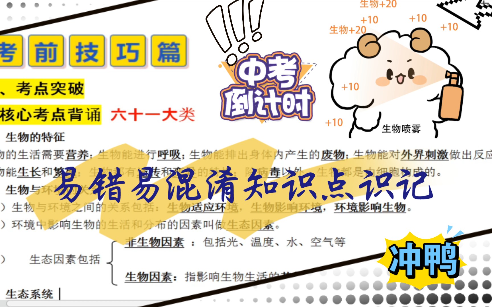 2024中考生物易错易混淆知识点识记辨析