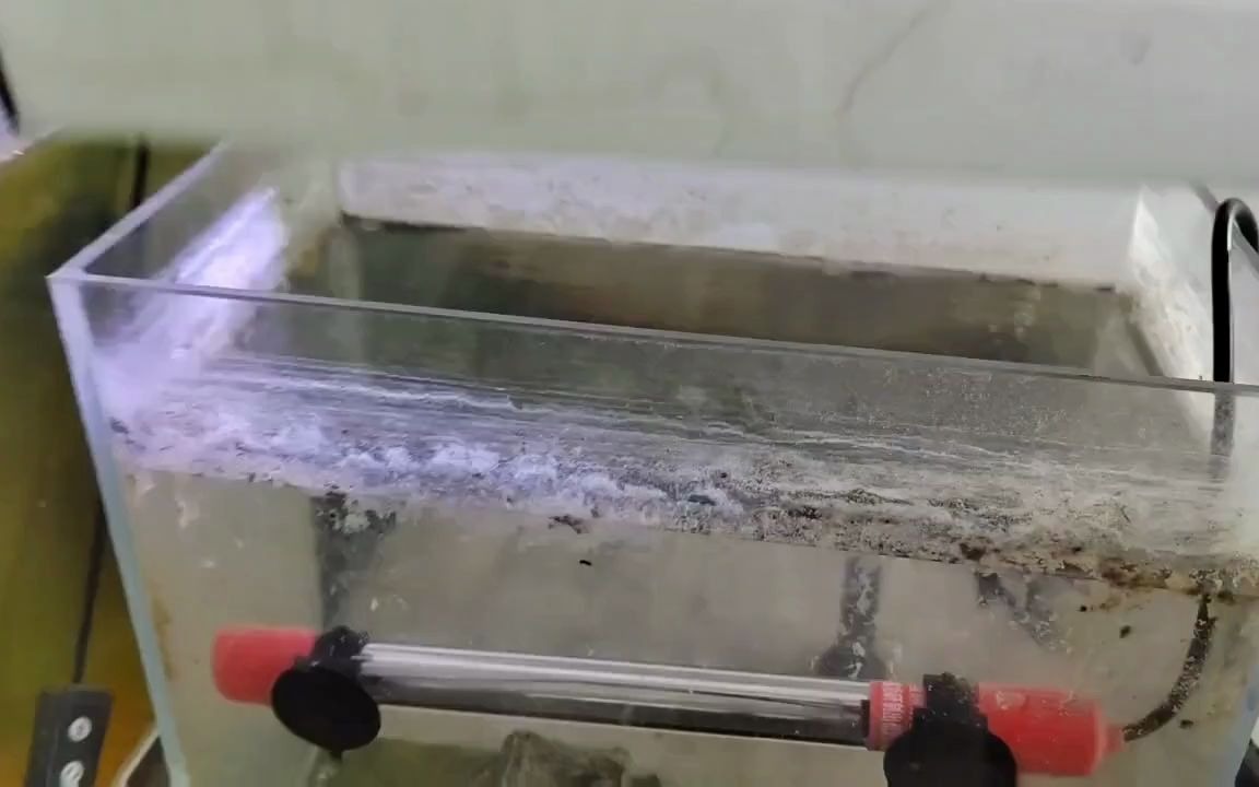 测试:杀菌灯除藻,除绿水的真实效果…方法,杀菌灯,鱼缸除藻,鱼缸杀菌...